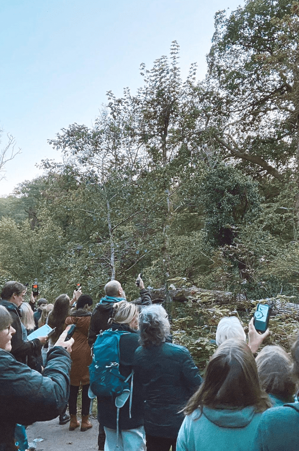 GUIDED BAT WALK: DAITH DYWYS YSTLUMOD at Fendrod Lake (Car Park) event ...