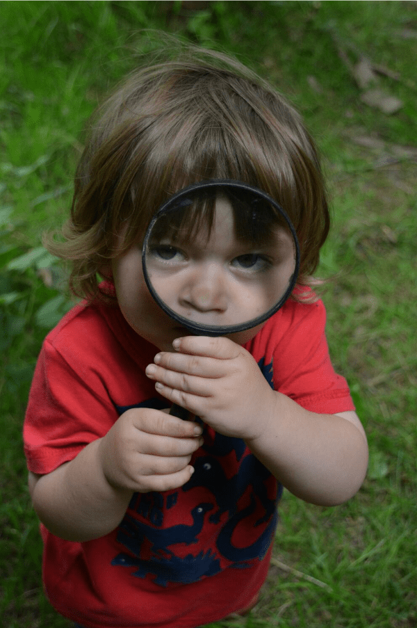 Forest Fridays - Late Autumn 2024 Forest School for the Under Fives ...