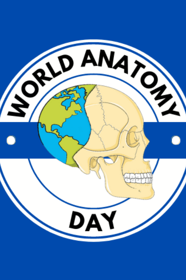 Bits and Bobs - The Anatomy of Sex at Anatomy Facility, Thomson ...
