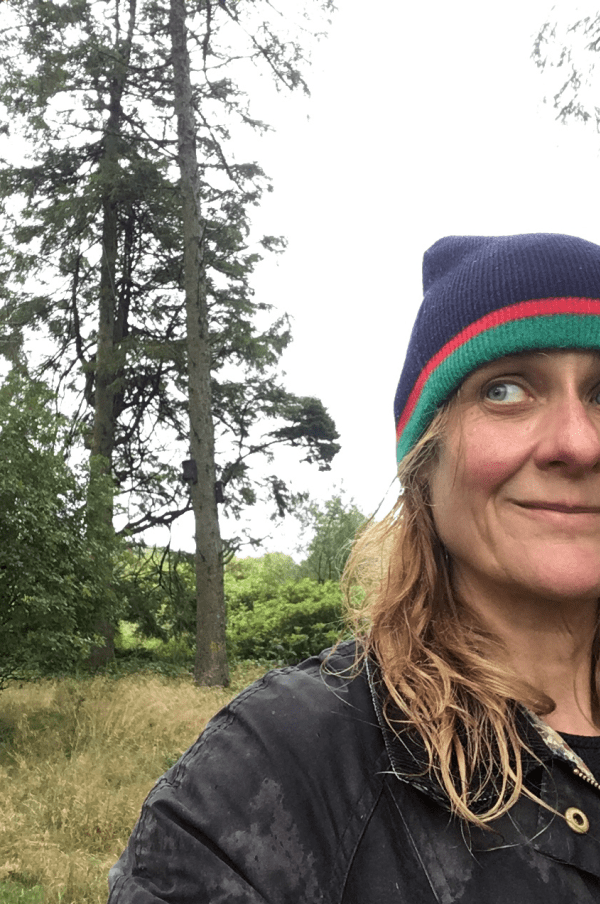 Foraging with Adele Nozedar at Ynysangharad War Memorial Park event ...