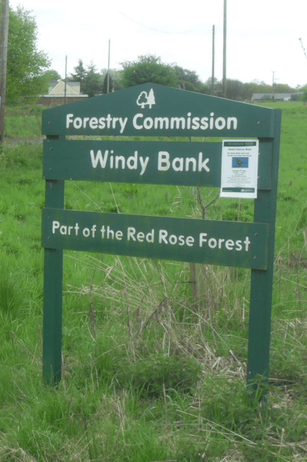 Wednesday walk for carers and cared for at Windy bank woods at Bents ...