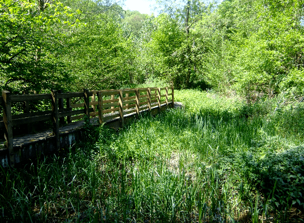 CWF23 walk 13 - Source to Mouth of the Angidy River at Tintern Old ...