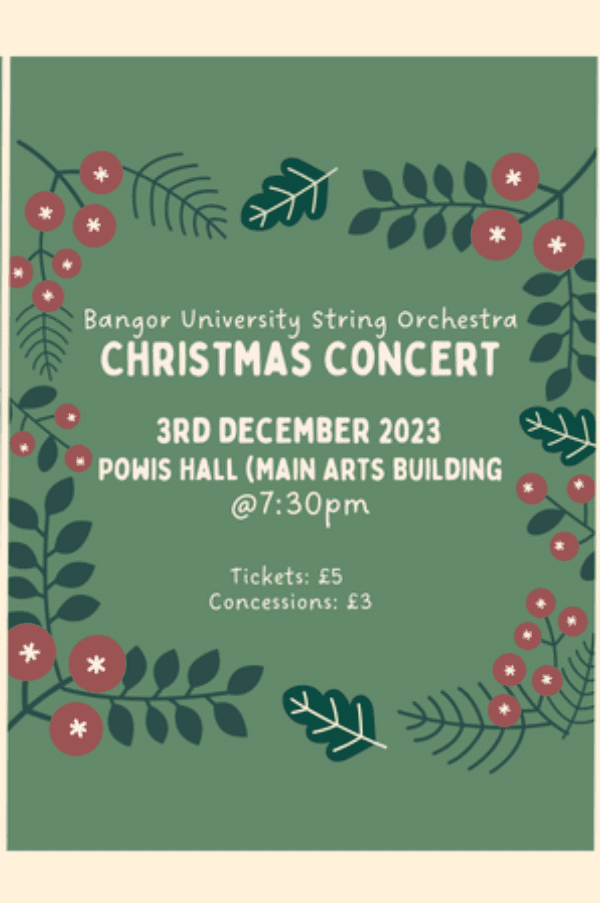 Bangor University String Orchestra - Christmas Concert at Powis Hall ...
